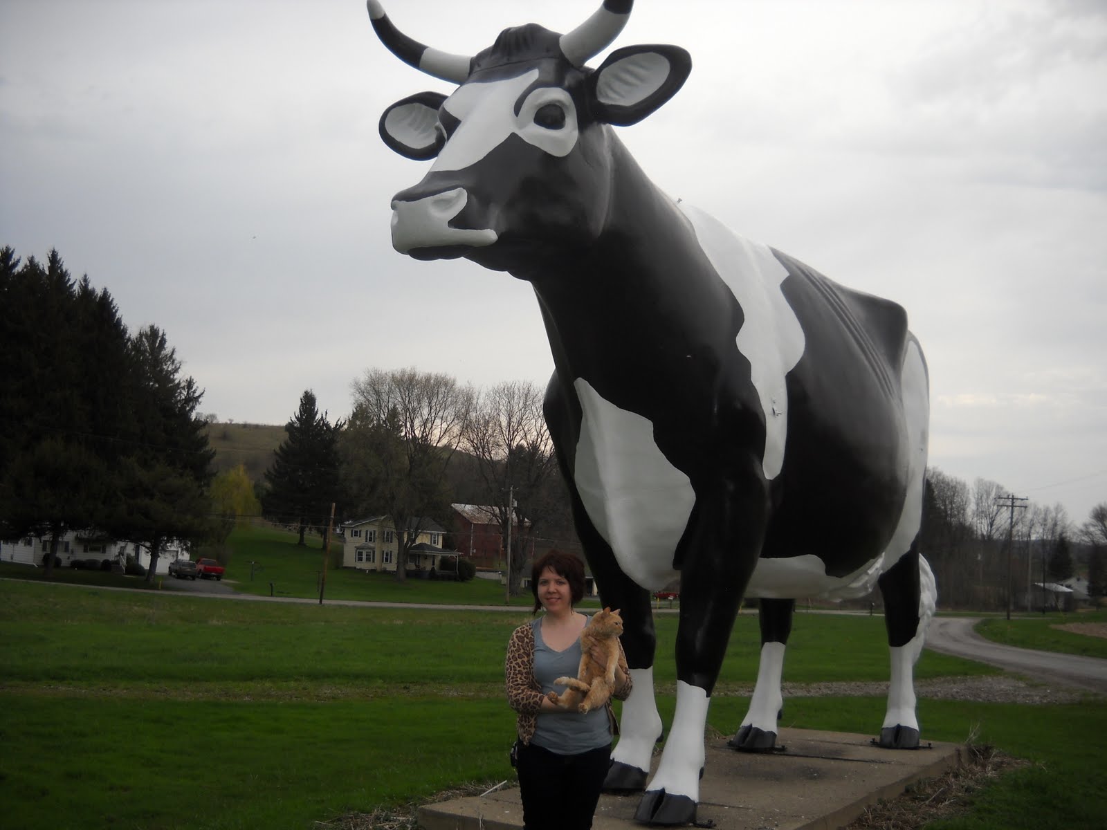 NY2PDX: Guess who has an interview at Netflix on Monday?