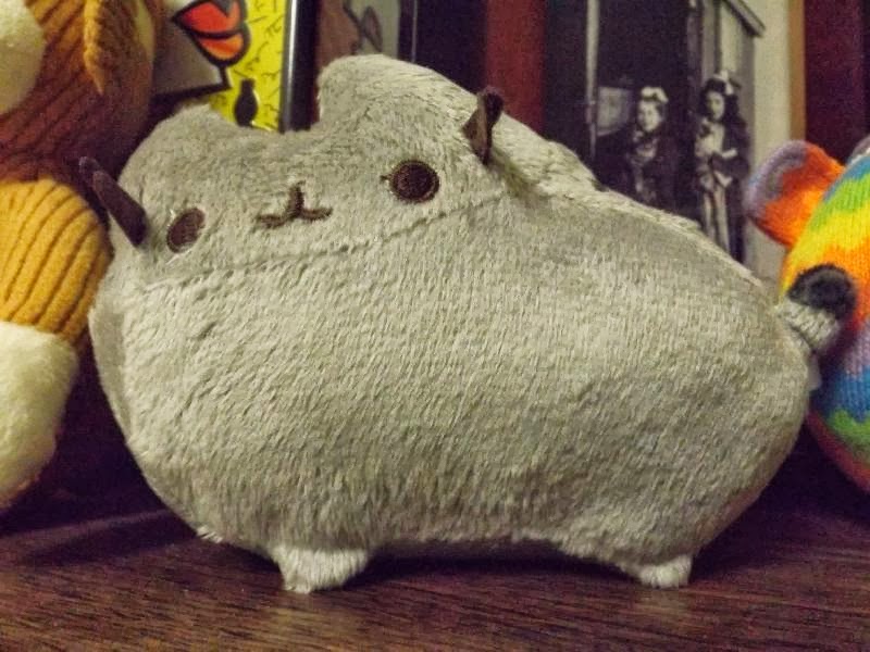 Pusheen Play Time (Photos)