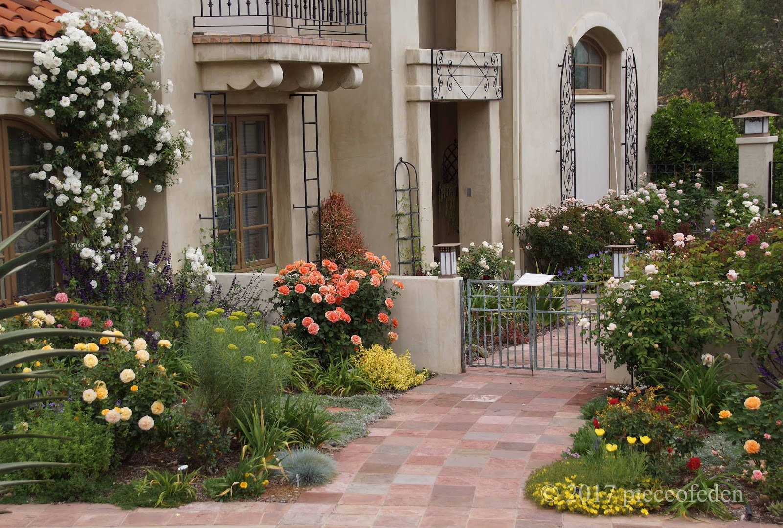 The Oldest Plants In The Garden