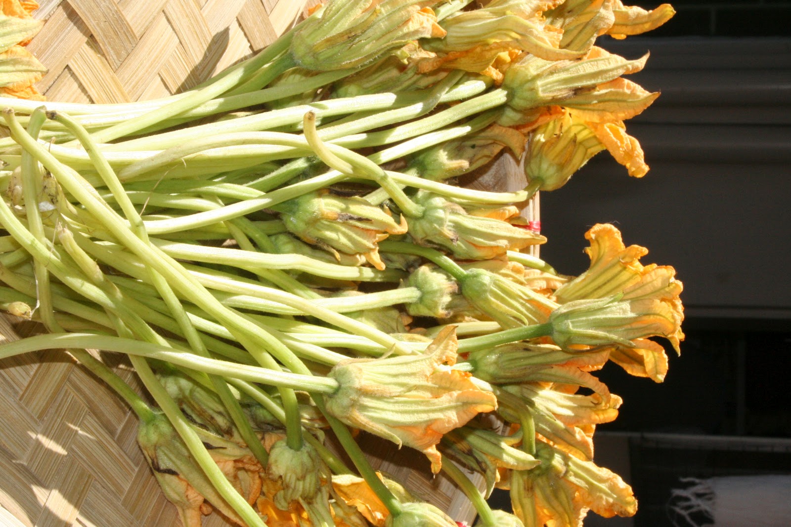 Living with Nature - School on Blog by Dr. Abercio V. Rotor: January 2016