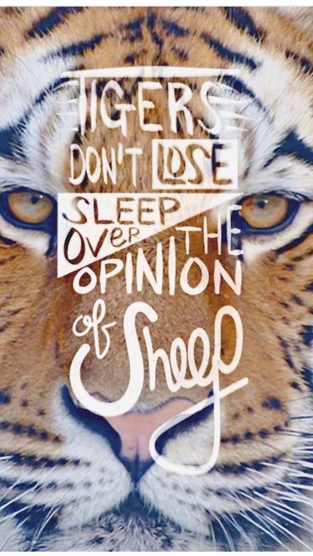 Learning How To Adult : 5 Ways To Channel Your Inner Tiger