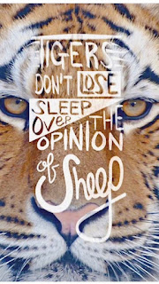 Learning How To Adult : 5 Ways To Channel Your Inner Tiger