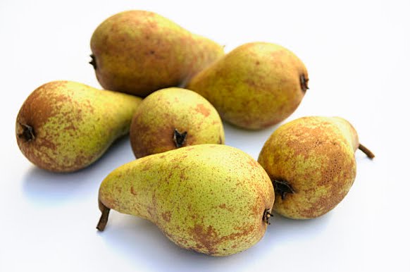 Maximilian and Carlota: A Blog for Researchers: The Emperor's Little ...