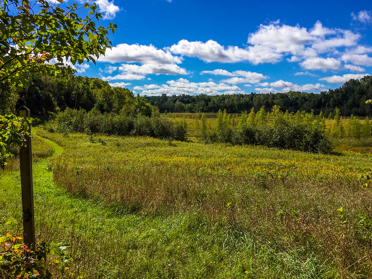 Hiking the Ice Age Trail Pine Lake Segment