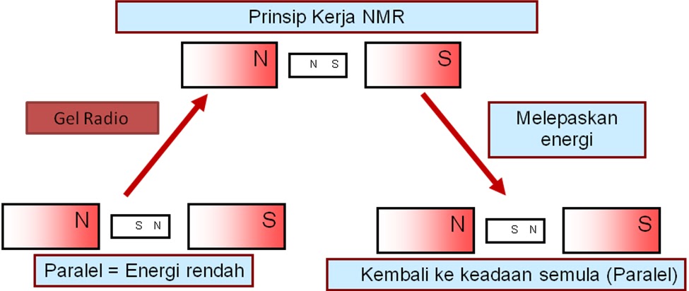 MUNAWIRUL QULUB: NUCLEAR MAGNETIC RESONANCE (NMR)