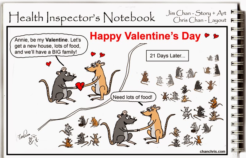 Health Inspector's Notebook: Rats in the city
