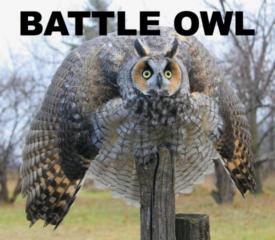 The Reference Reference: Owls I