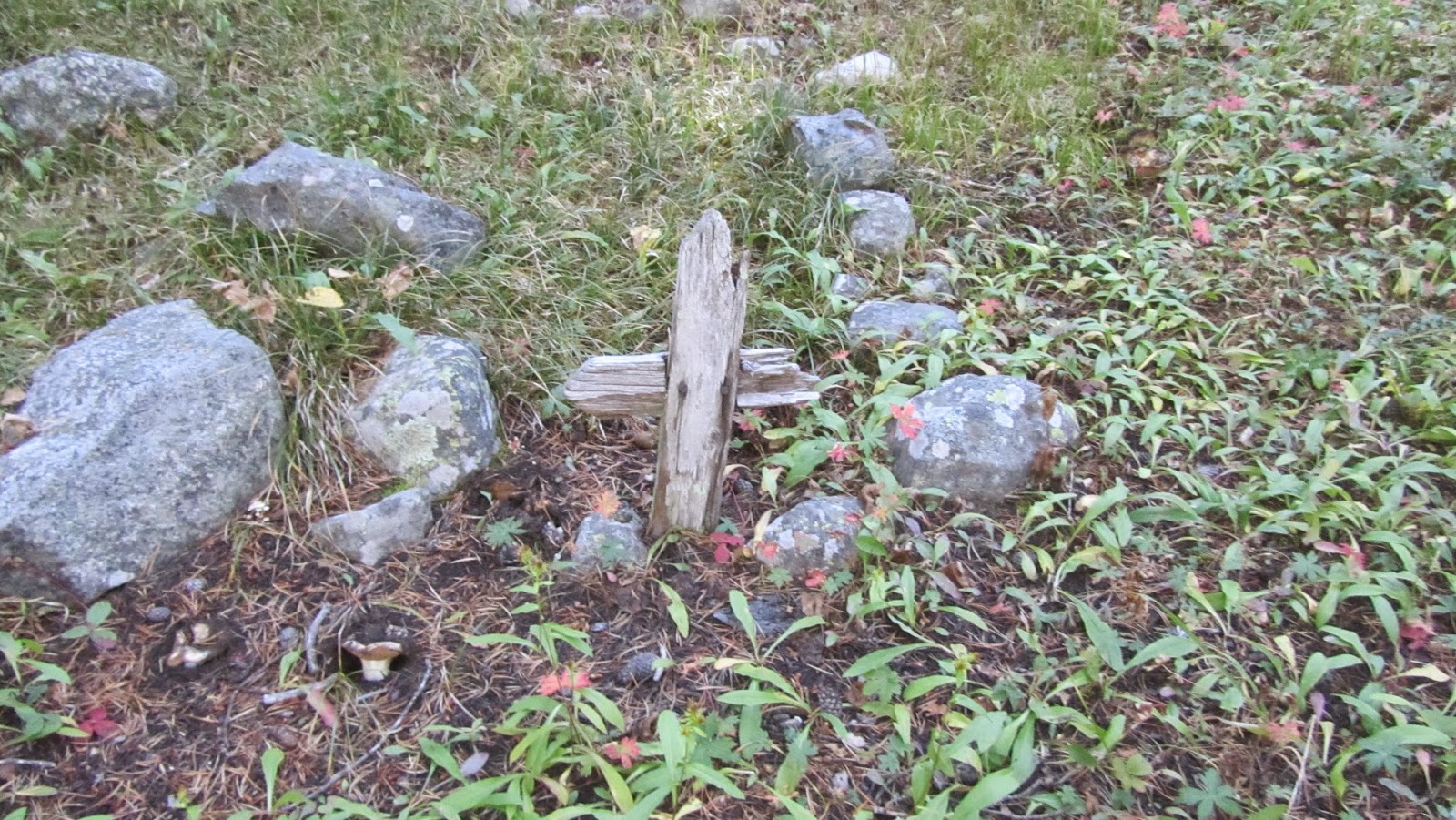 Tomcat's Outdoor Adventures: Canyon Creek Loop: Mountain Biking in the ...