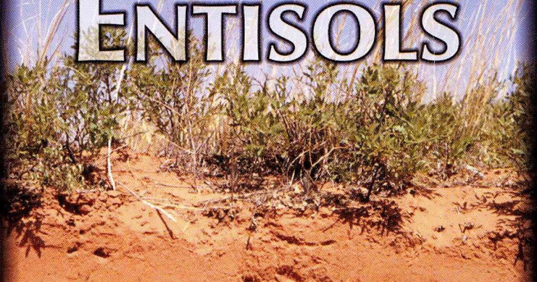 Pengertian Dari Entisol | Hama & Penyakit Tanaman