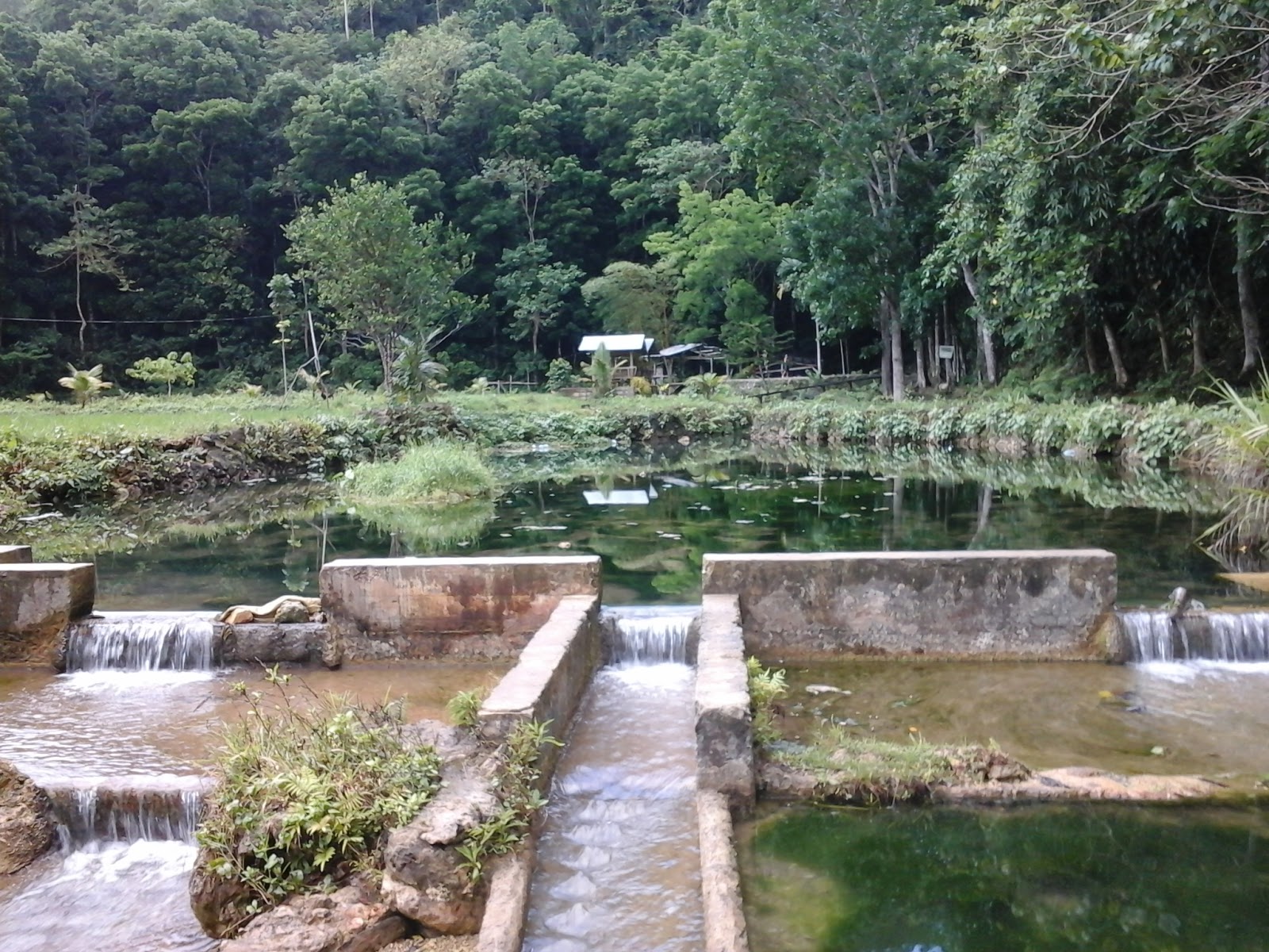 Enjoying The Great Life: May 2015