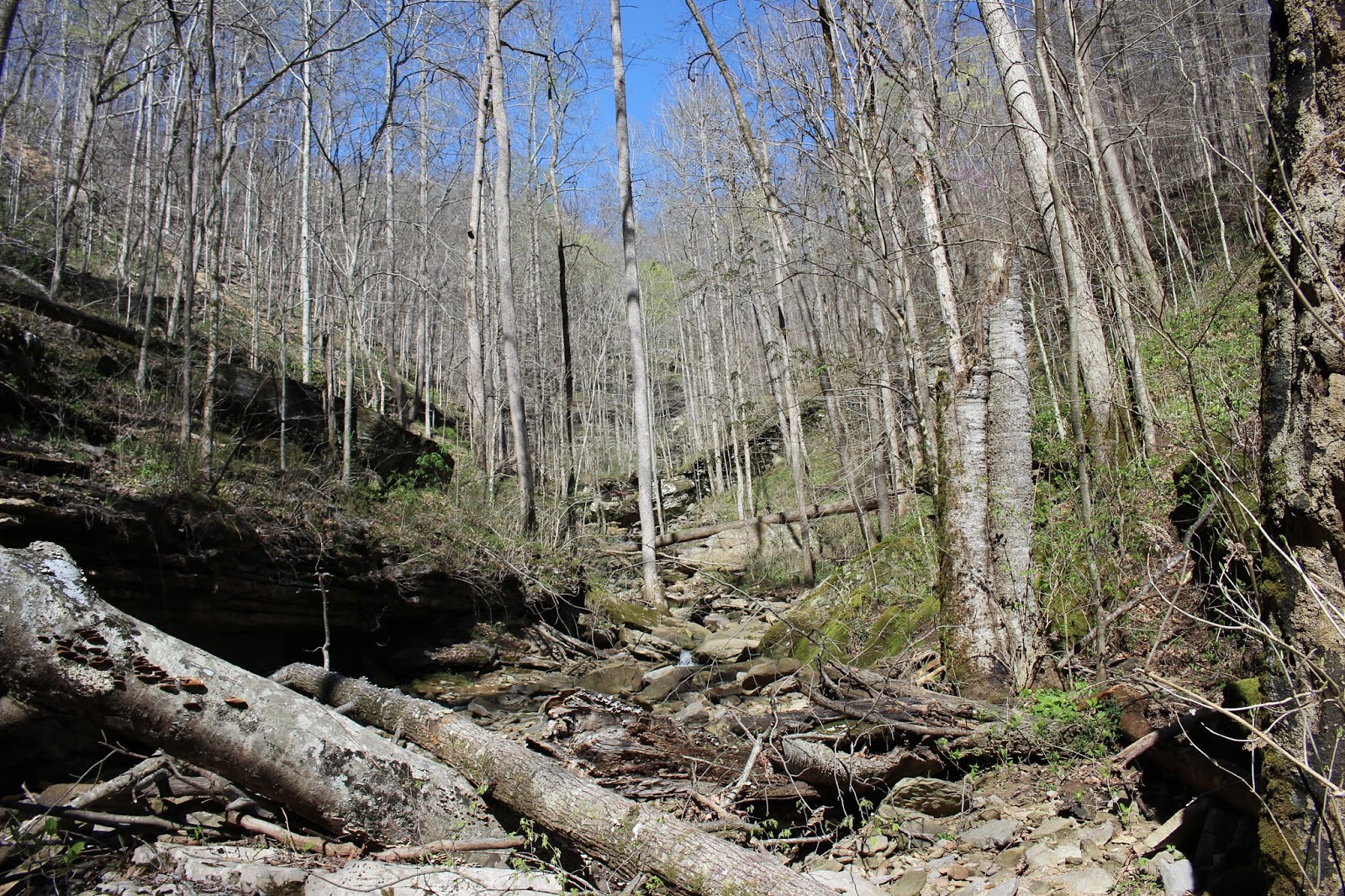 Cumberland Gal: Belle Ridge Retreat --Verble Hollow Falls & Spring ...