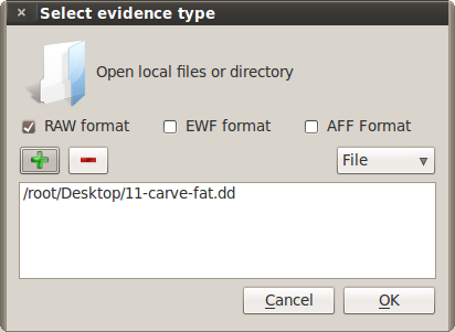 The Evil Bit Blog: Backtrack Forensics: Digital Forensic Framework (DFF)
