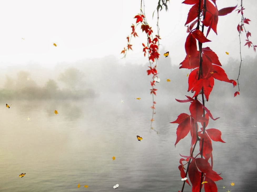 Beautiful Animated Wallpapers - 3D HD Wallpapers