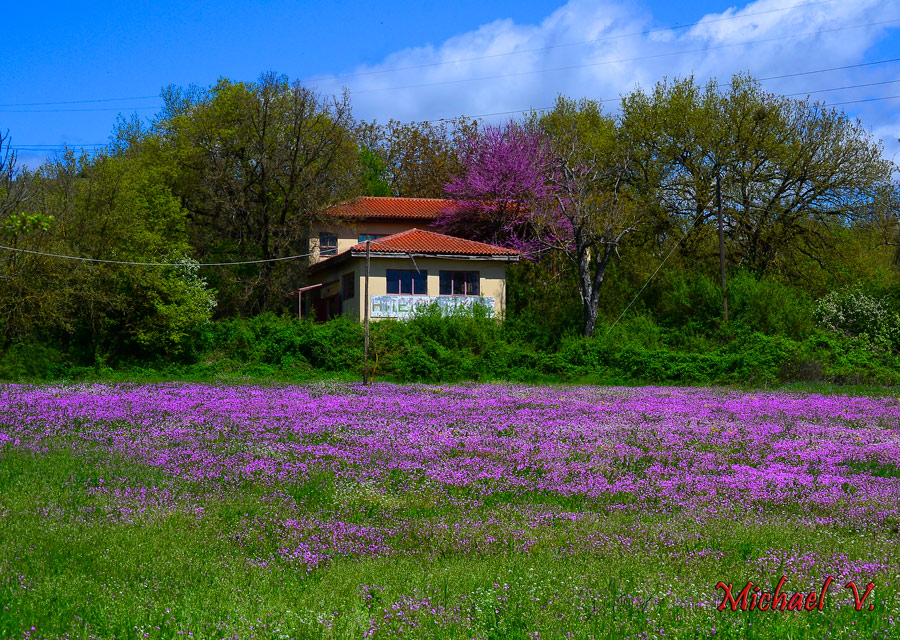 Photos from Ioannina: Ανοιξιάτικο τοπίο