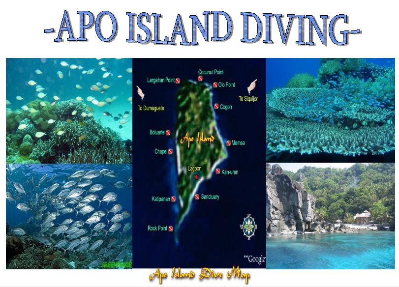 Best Place for Diving | Dive all over the Philippines
