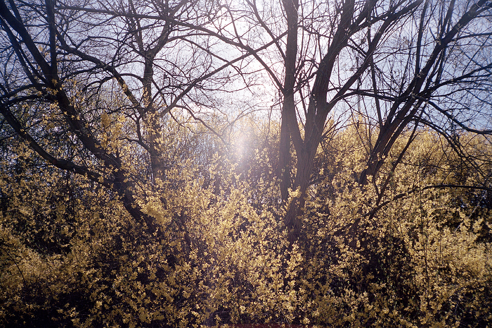 Photographie au quotidien