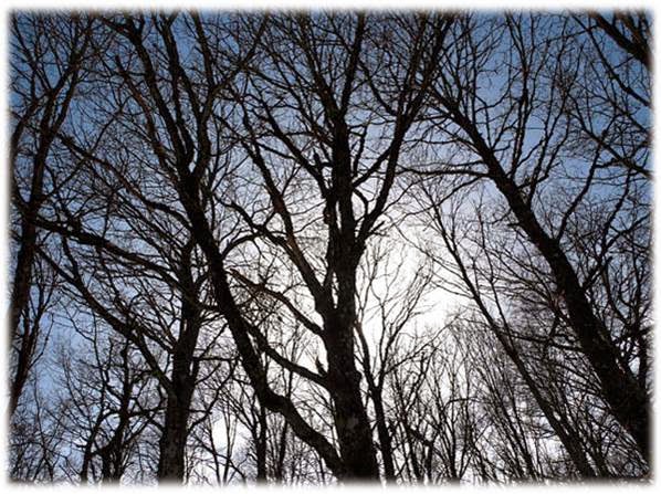 Fobias Extrañas: julio 2014