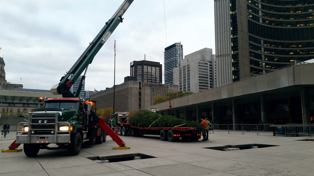 Toronto Grand Prix Tourist - A Toronto Blog: Toronto's Christmas Tree ...