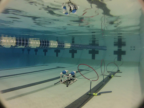 KD SeaPerch ROV (Arm Design): Background Information