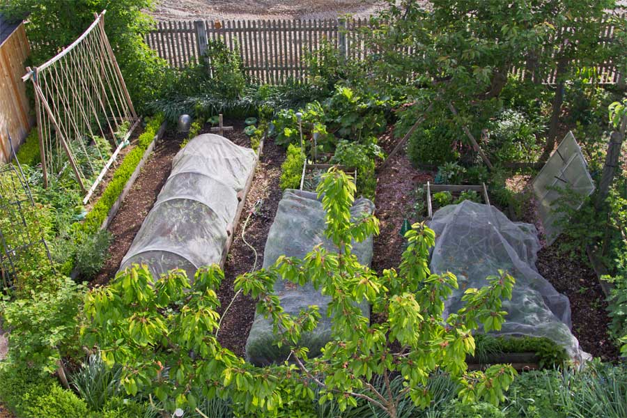 Gartenblog Geniesser-Garten : Gemuesegarten im Mai