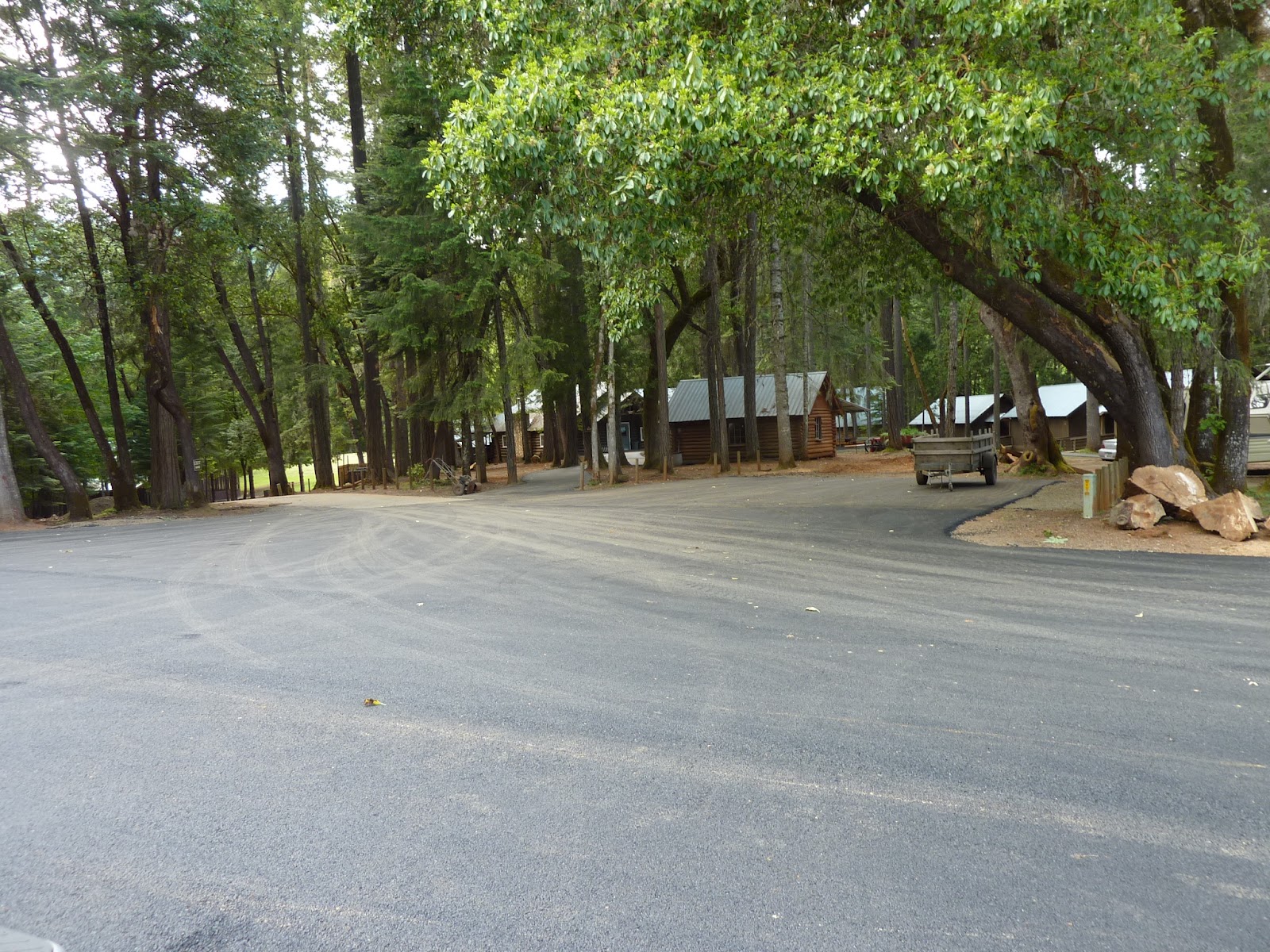 The Gale's Tales: Back at Fir Point Bible Camp