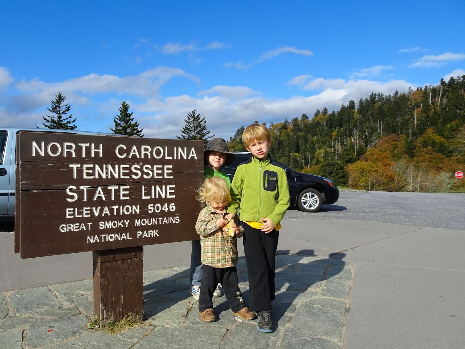 Femme au foyer: Autumn on Newfound Gap Road