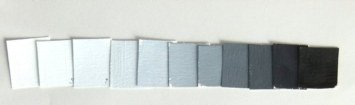 Pauline Persing Art, Writing,& Natural History: Creating a Gray Scale