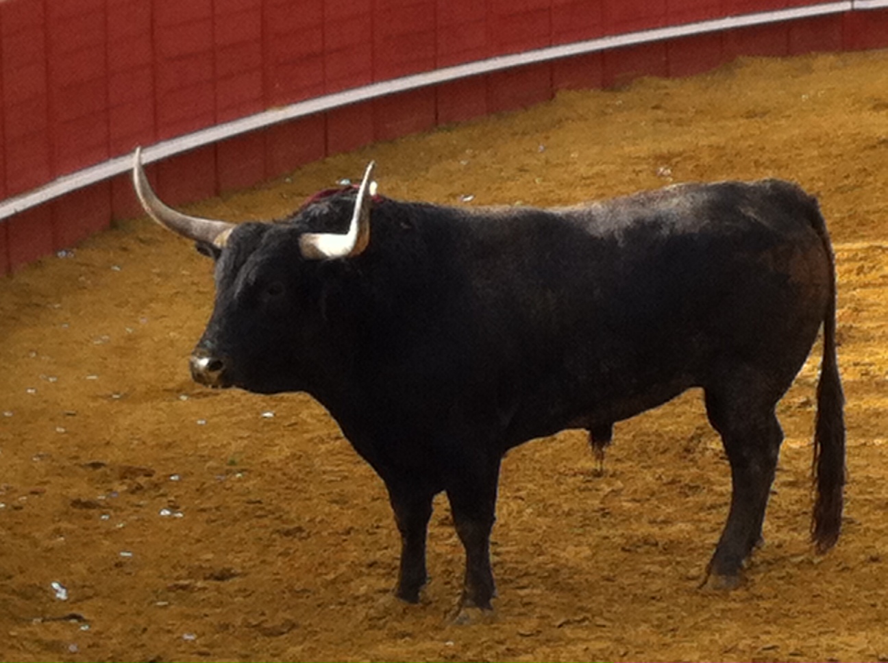 Todos a los Toros: abril 2012