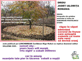 STOPS - CALEIDOSCOP: HAIGA cu CAZMAUA ... COVOR DE FRUNZE PROFILAT prin ...