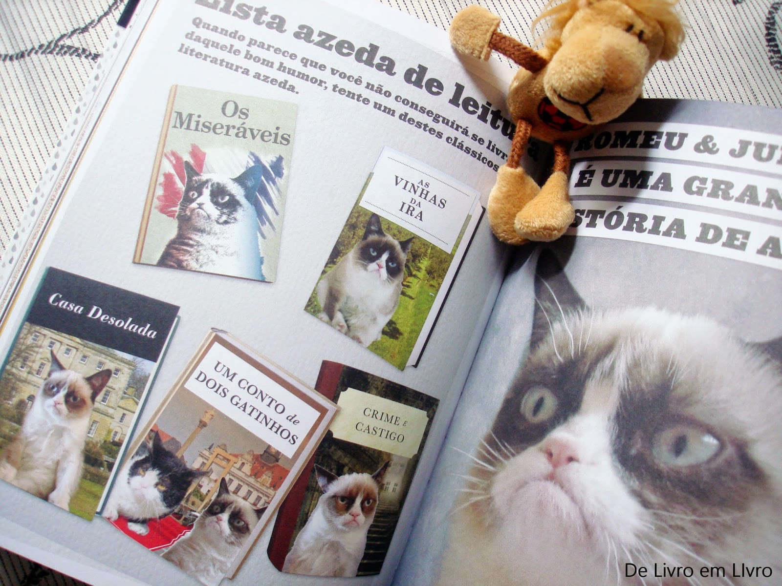 Resenha: Grumpy Cat: Um Livro Azedo - Grumpy Cat | De Livro em Livro