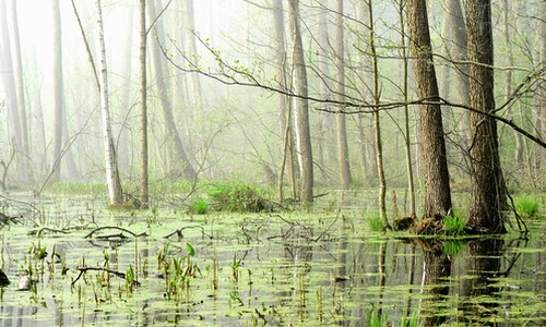 Seemorerocks: Fresh water methane emissions