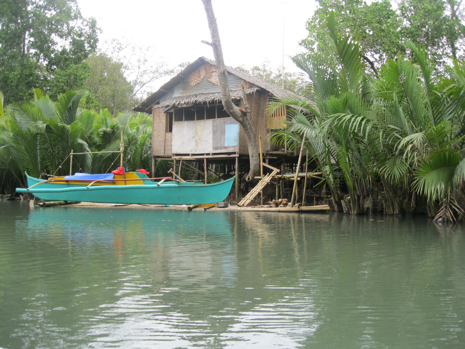 Black Swamp Cornucopia: A bangka (outrigger canoe) trip in Mindanao ...