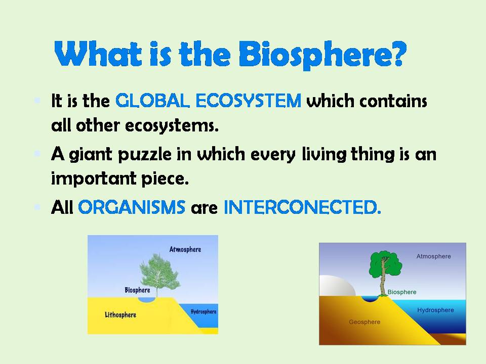 MilaEnglish Blog: ThE BiOsPhErE
