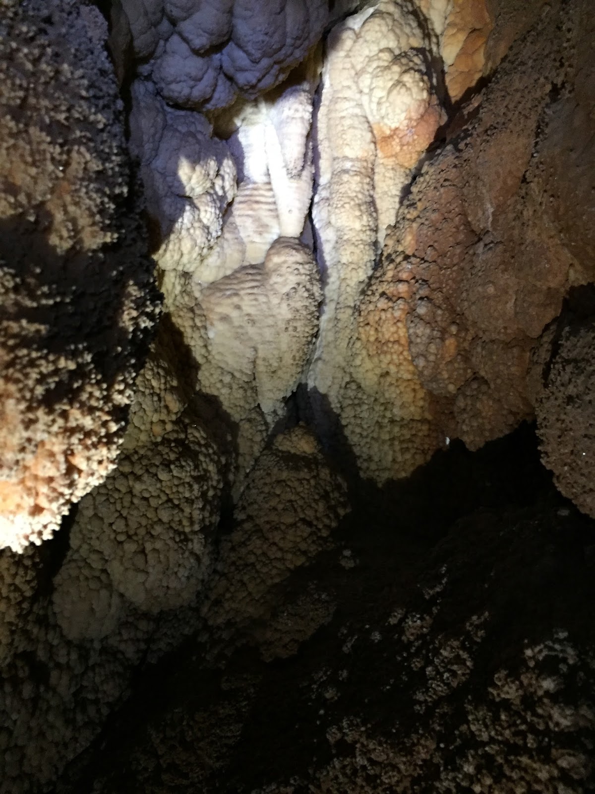 The Kruse Chronicles Continue in Cocoa, Florida: Caving again ...
