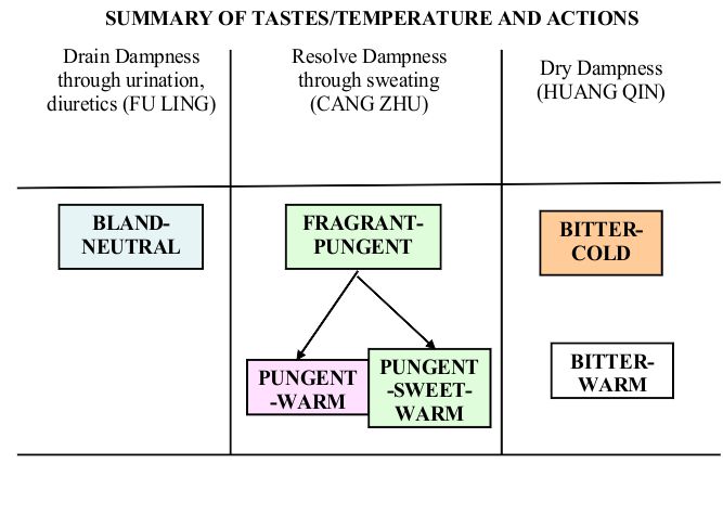 Maciocia Online: DAMP-HEAT