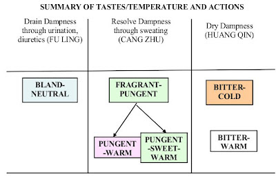 Maciocia Online: DAMP-HEAT