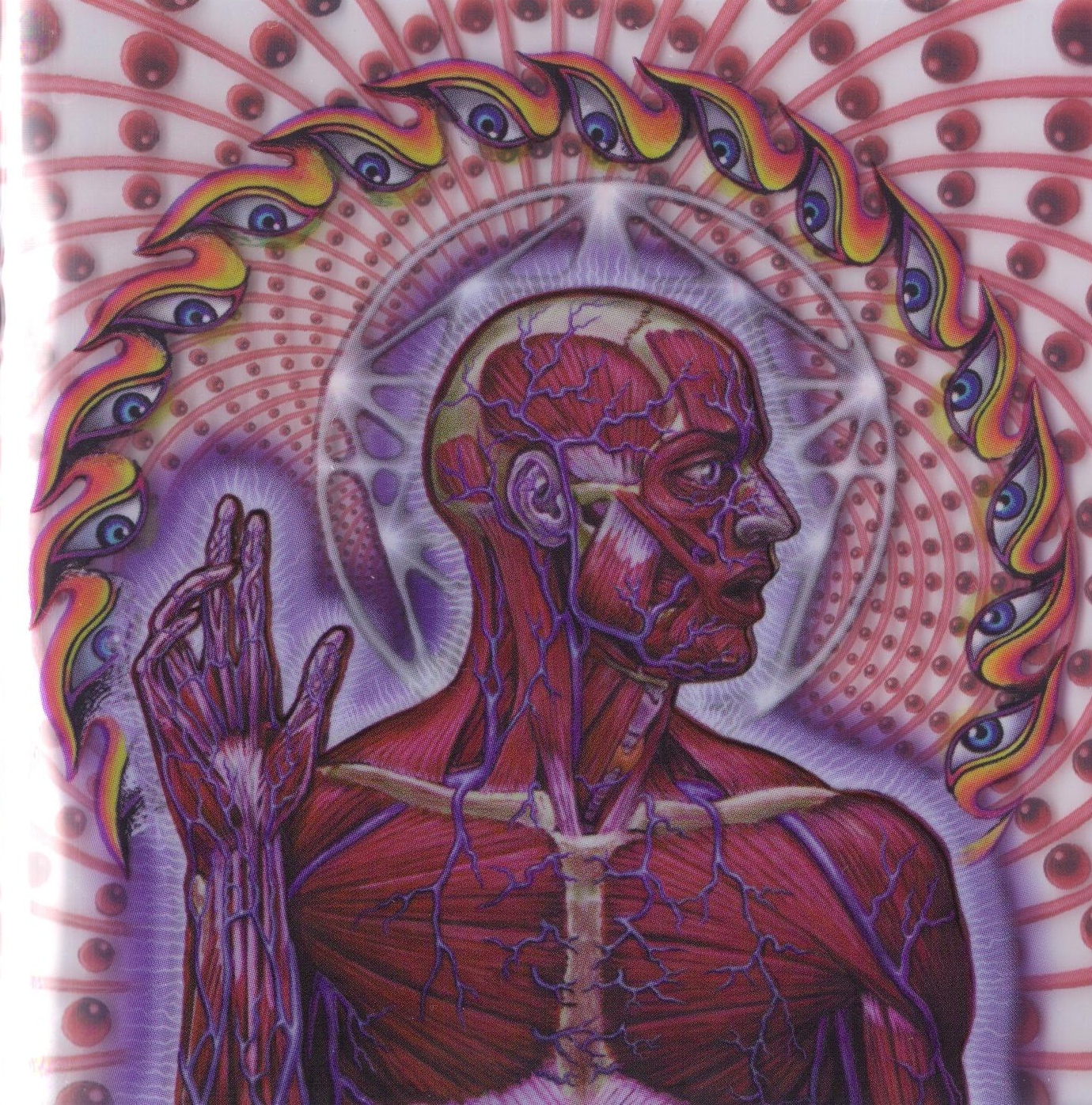 INTO THE GUITARS: Tool - Lateralus