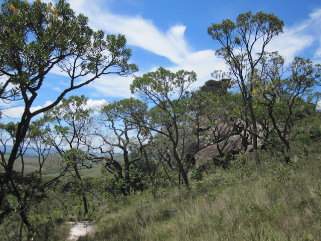 CERRADO, TE QUERO BEM...: CERRADO SENTIDO RESTRITO