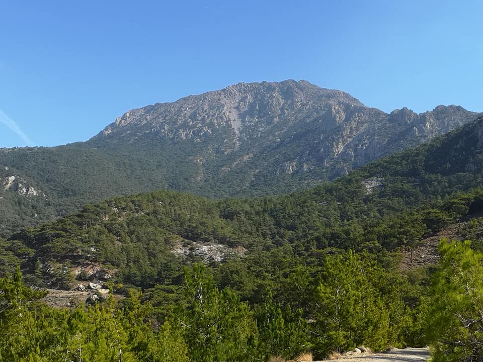 EXPLORE MOUNTAINS: ΠΕΖΟΠΟΡΙΑ ΣΤΟ ΔΑΣΟΣ ΤΗΣ ΘΡΥΠΤΗΣ