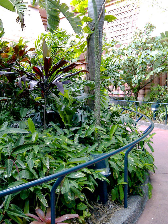 The Rainforest Garden: A Critic's Guide to the Mexican Garden at Epcot