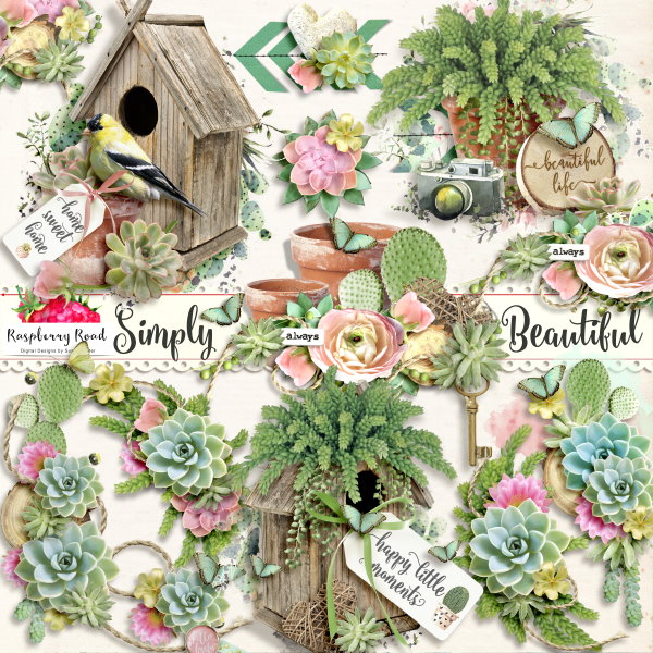 New Collection & Freebie