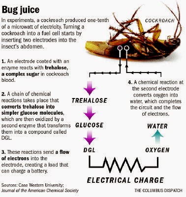 HI-MEMS (Hybrid Insect - Micro Electro-Mechanical Systems) Initiative ...