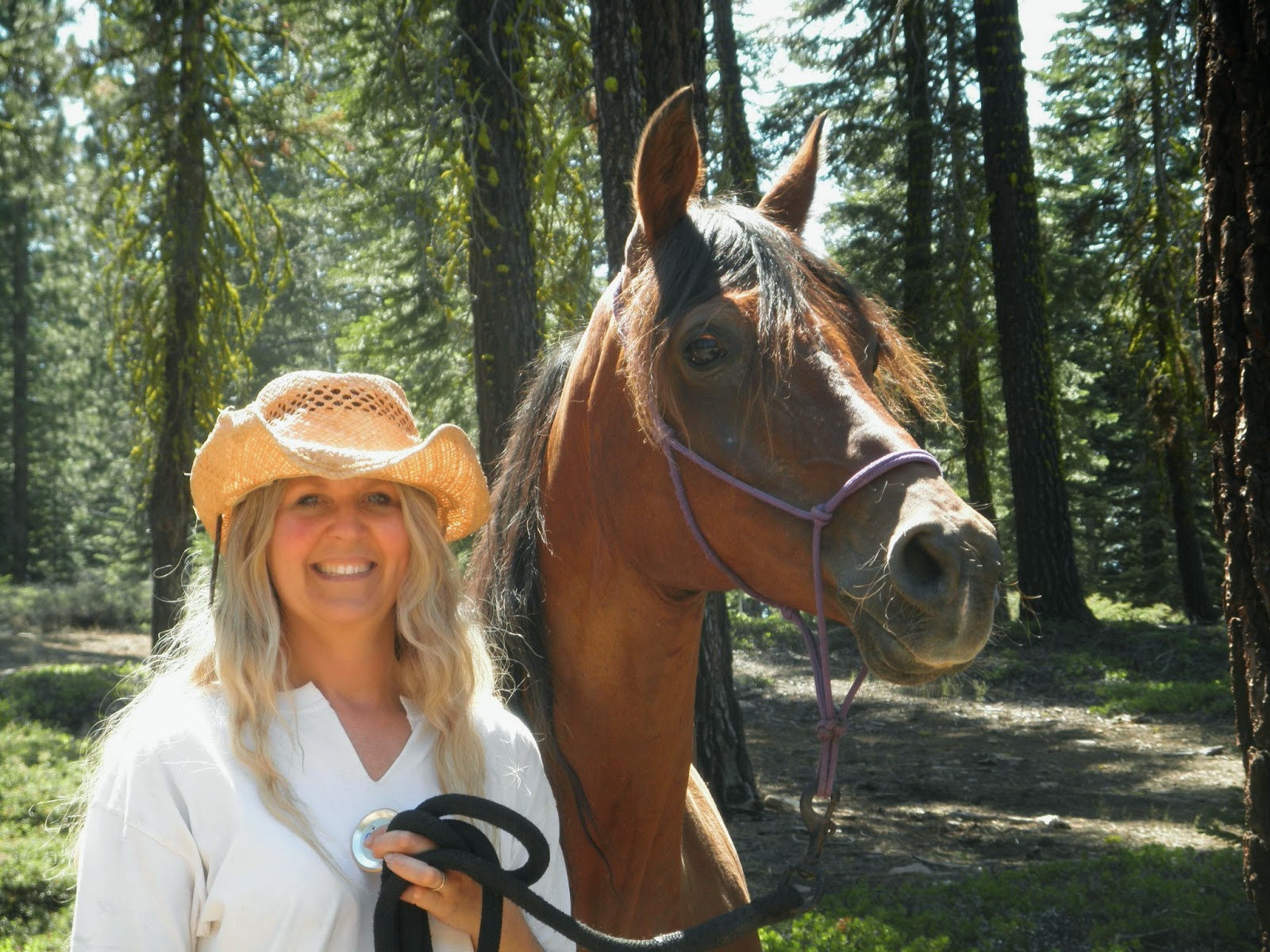 The Tevis - Western States 100-Mile One-Day Ride Stories: Heidi Larson ...