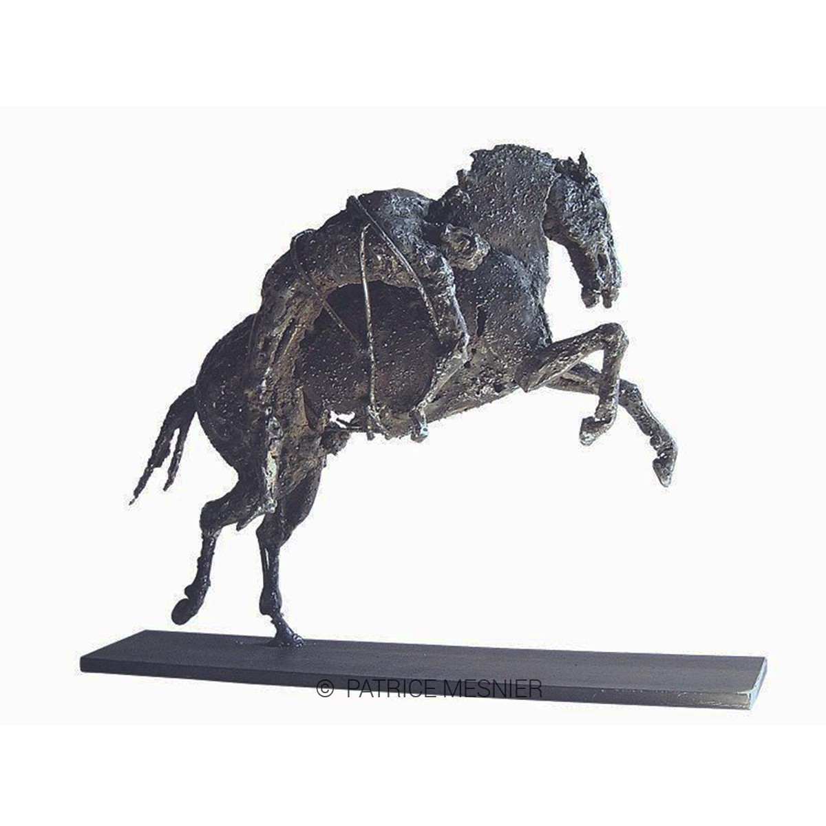 Ma Librairie: Victor Hugo : Mazeppa et Marcus Malte dans Le Garçon