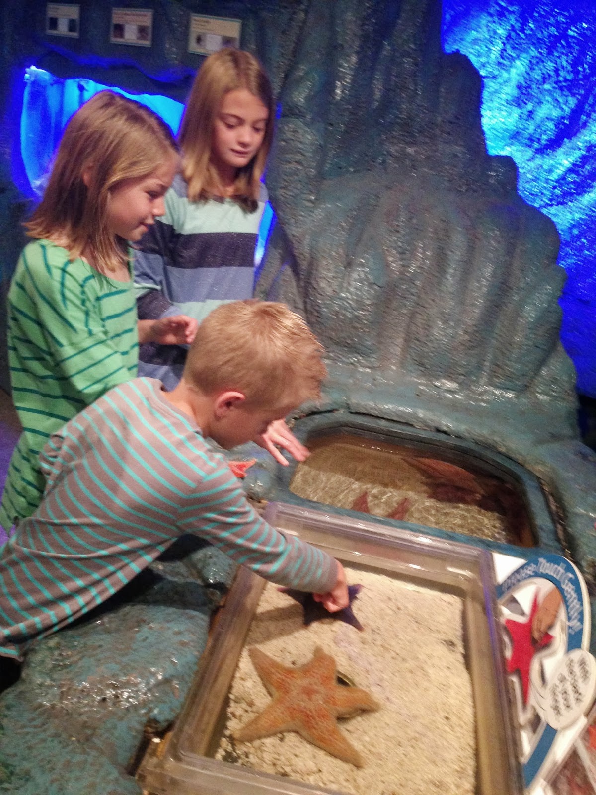 Egbert Family Blog: Fun Times