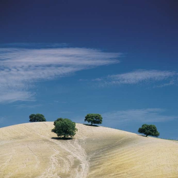 Los Grandes Fotografos: Charlie Waite (1949)