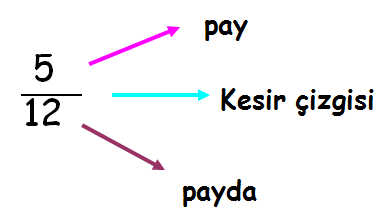 Kesirler - Dersimiz Matematik