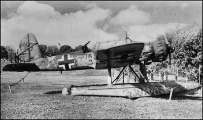 100 Años de Aviación en Canarias: Un “Arado” utiliza la pista de Los ...