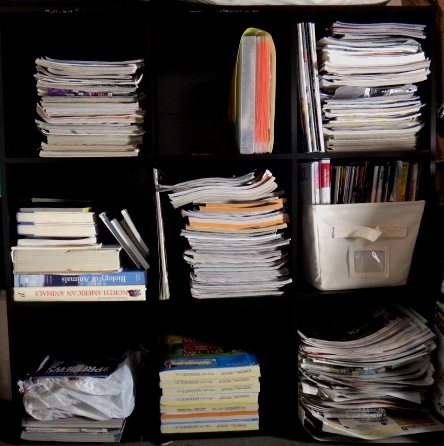 Upcycled Stuff: My Quirky Obsession with Cube Storage