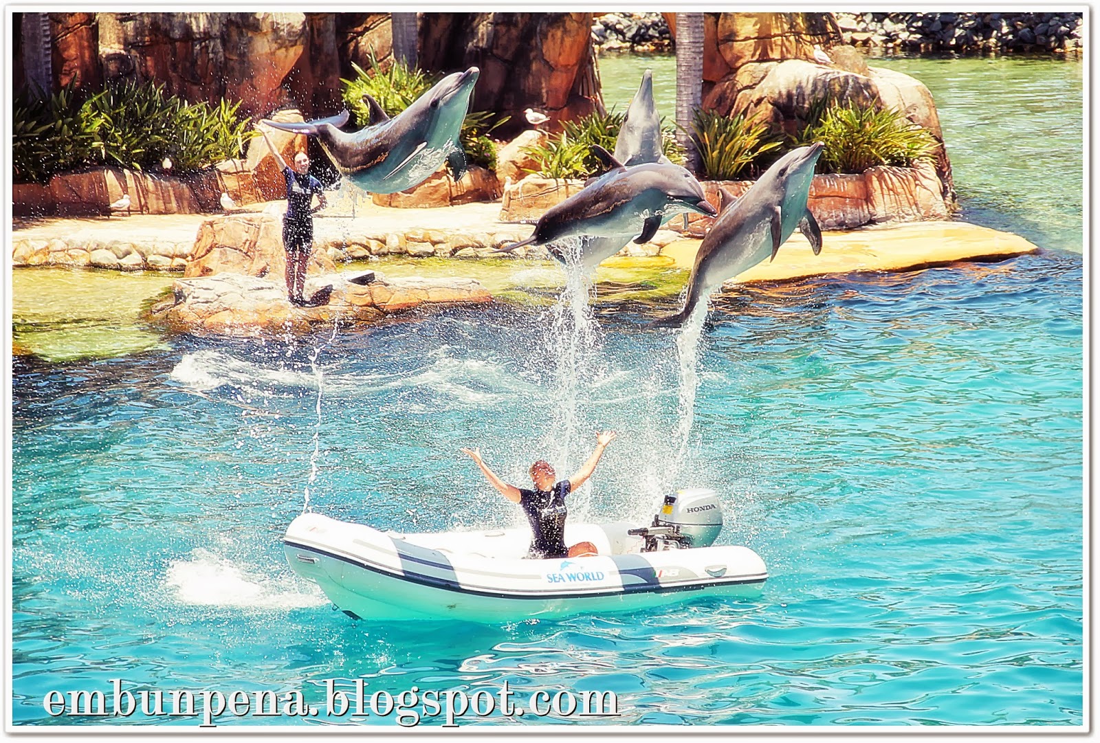 Gold Coast – Sydney 3: Seaworld, Surfers Paradise